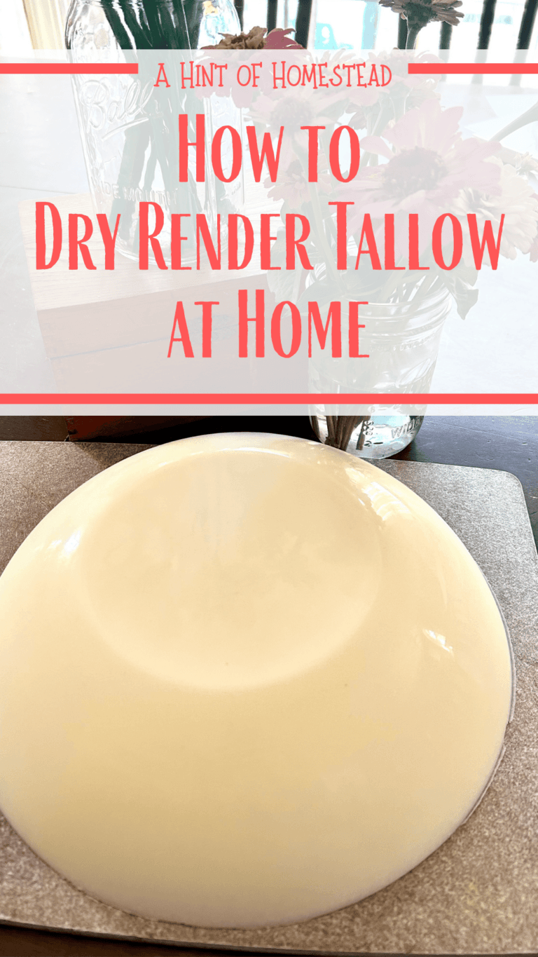 Learn How to Dry Render Beef Tallow at Home Tutorial - A Hint of Homestead