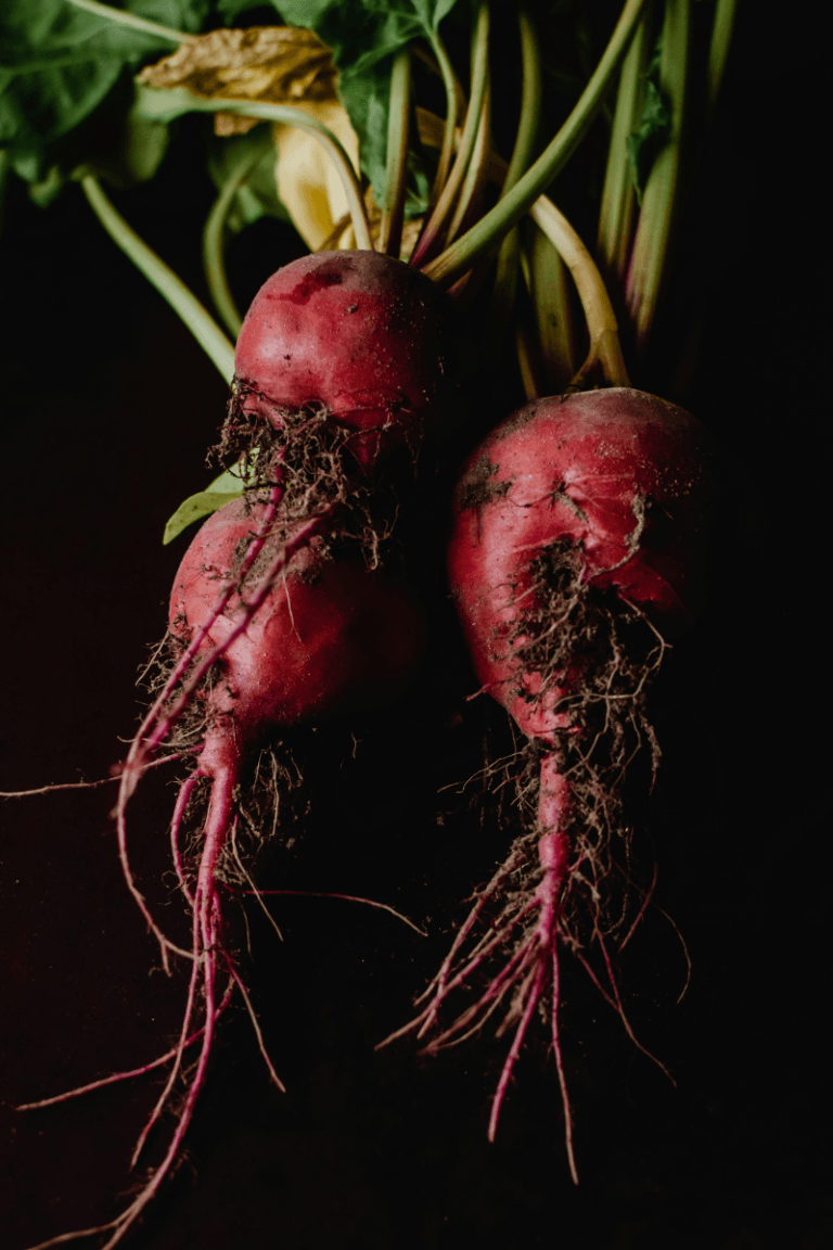 Best Fall Vegetables to Grow in Your Garden - A Hint of Homestead