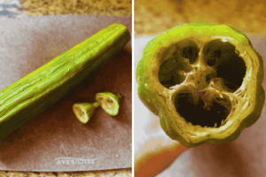 How to Harvest Homegrown Luffa in 6b (loofah) - A Hint of Homestead