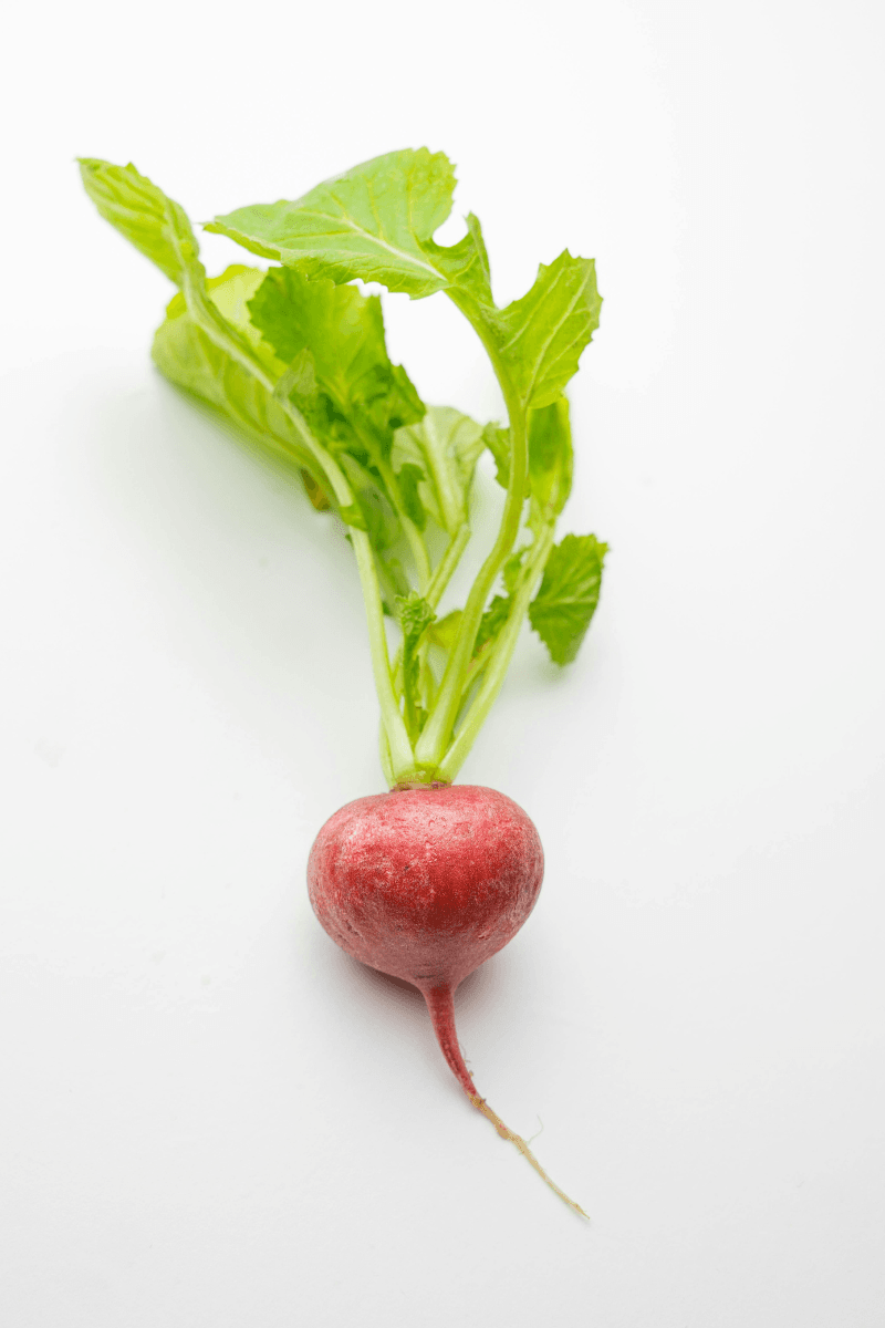 Best Fall Vegetables to Grow in Your Garden - A Hint of Homestead