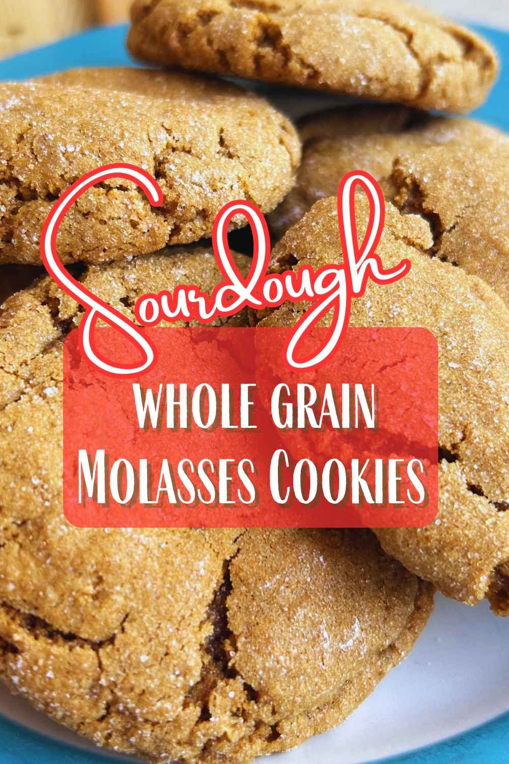 Sourdough Molasses Cookies with Fresh Milled Flour