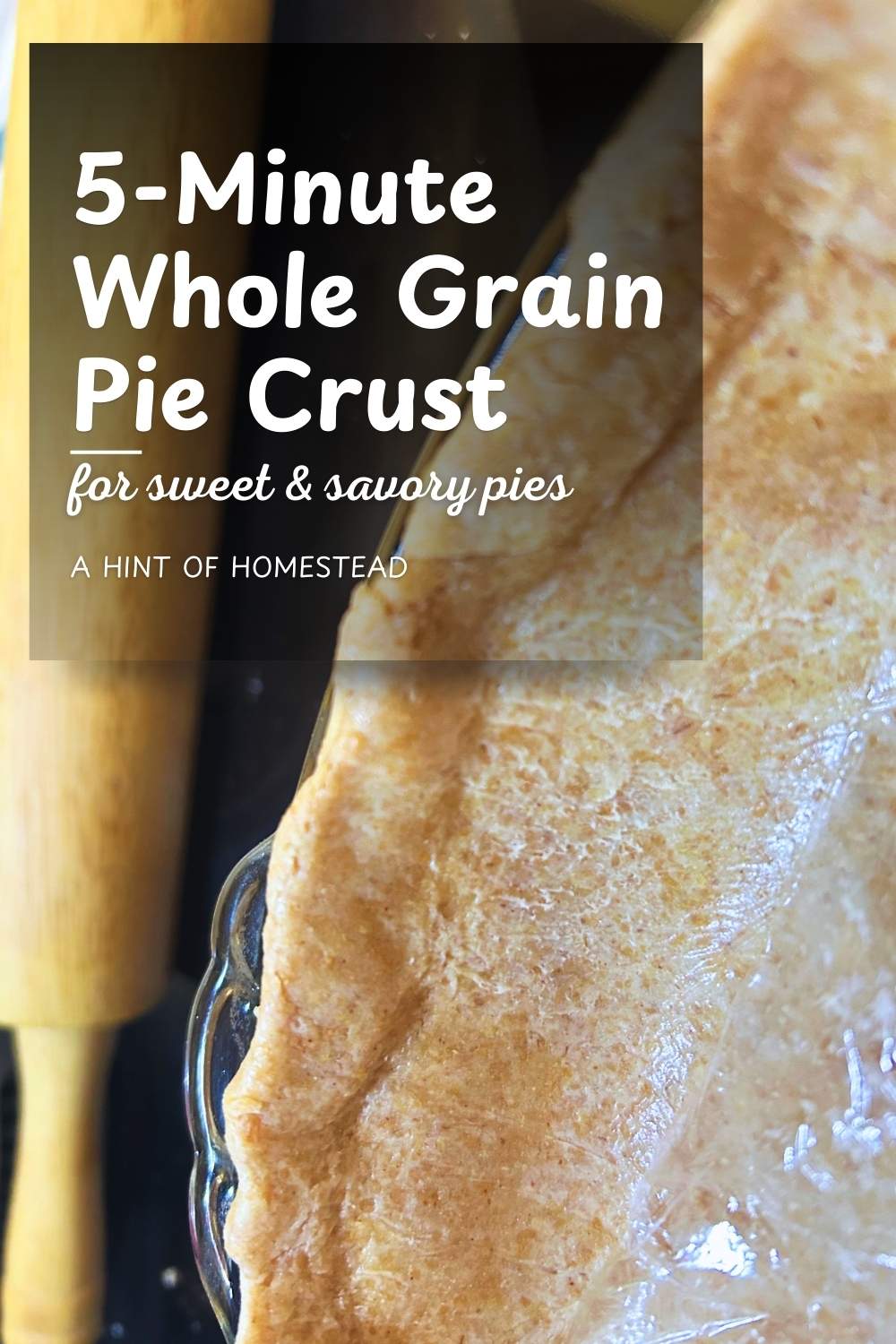 5-Minute Whole-Grain Pie Crust - A Hint of Homestead