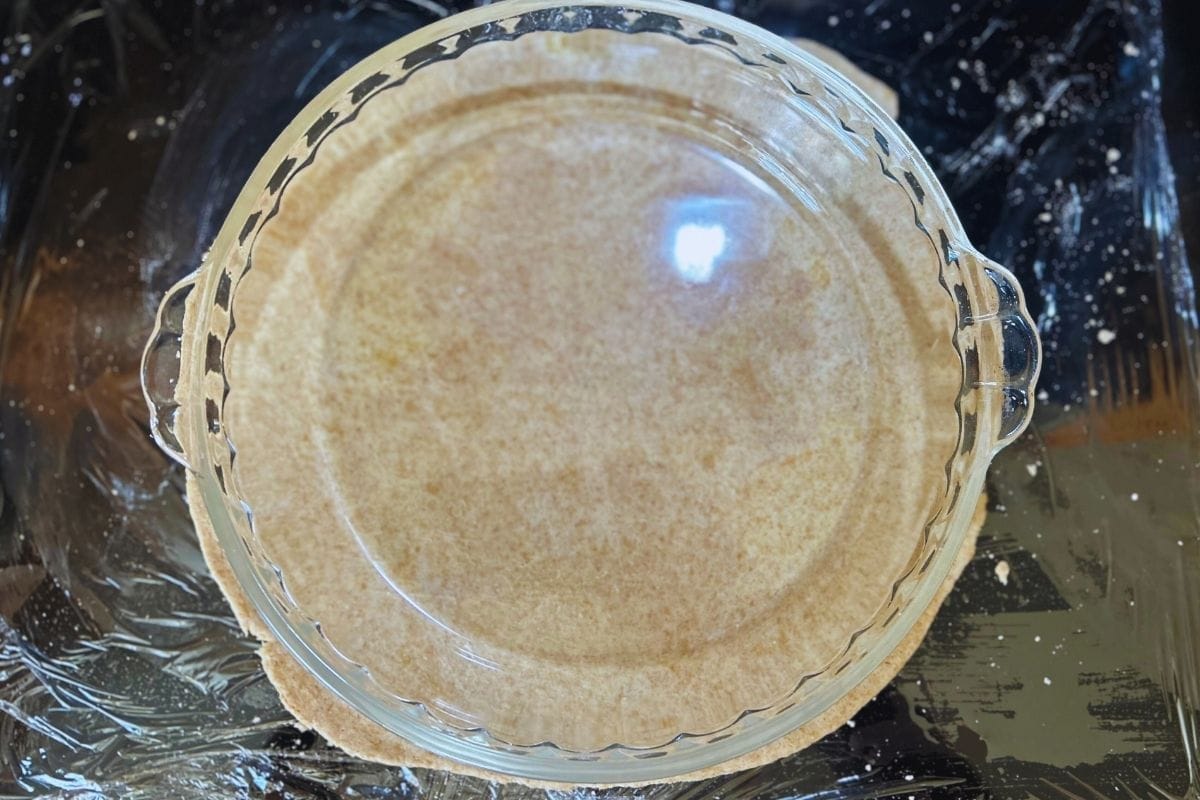 5-Minute Whole-Grain Pie Crust - A Hint of Homestead