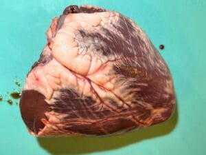 Simple Beef Heart Jerky: How to Make the Perfect Snack - A Hint of ...