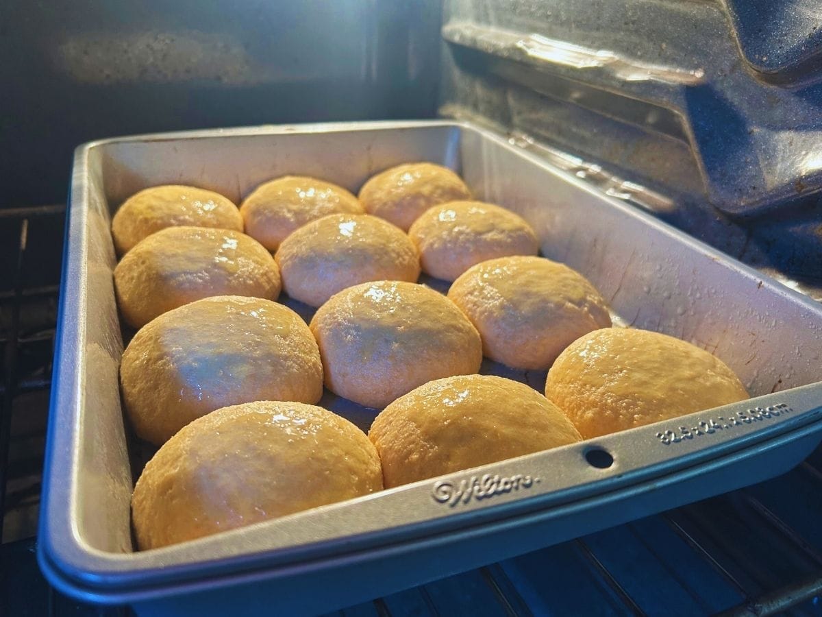 Irresistible Rustic Whole Wheat Dinner Rolls Recipe - A Hint of Homestead