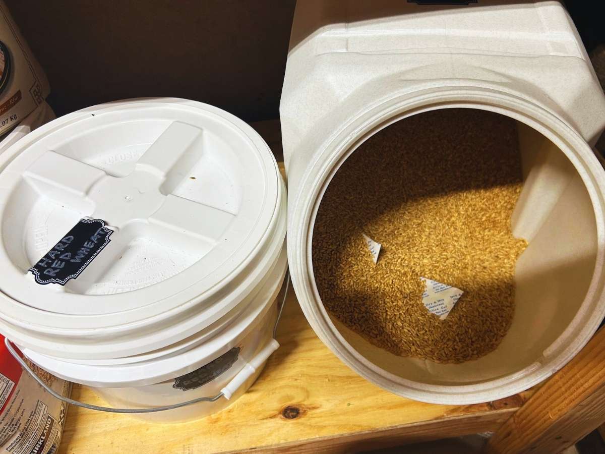 Fresh Milled Flour 101: Beginner's Guide to Milling Grains at Home