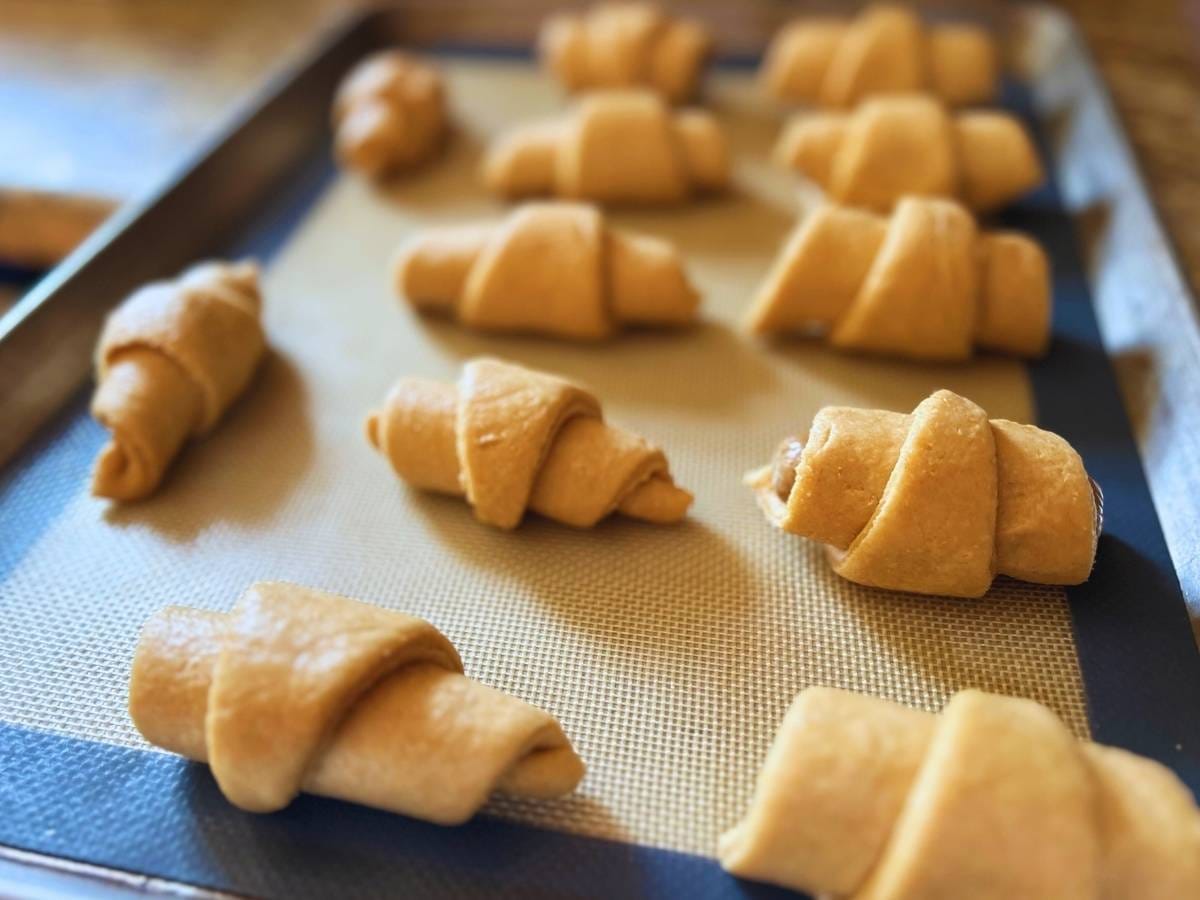 Whole Wheat Crescent Rolls - A Hint of Homestead