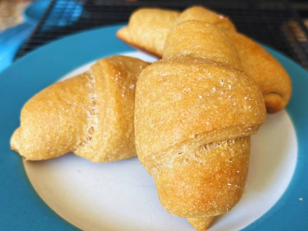Whole Wheat Crescent Rolls - A Hint of Homestead