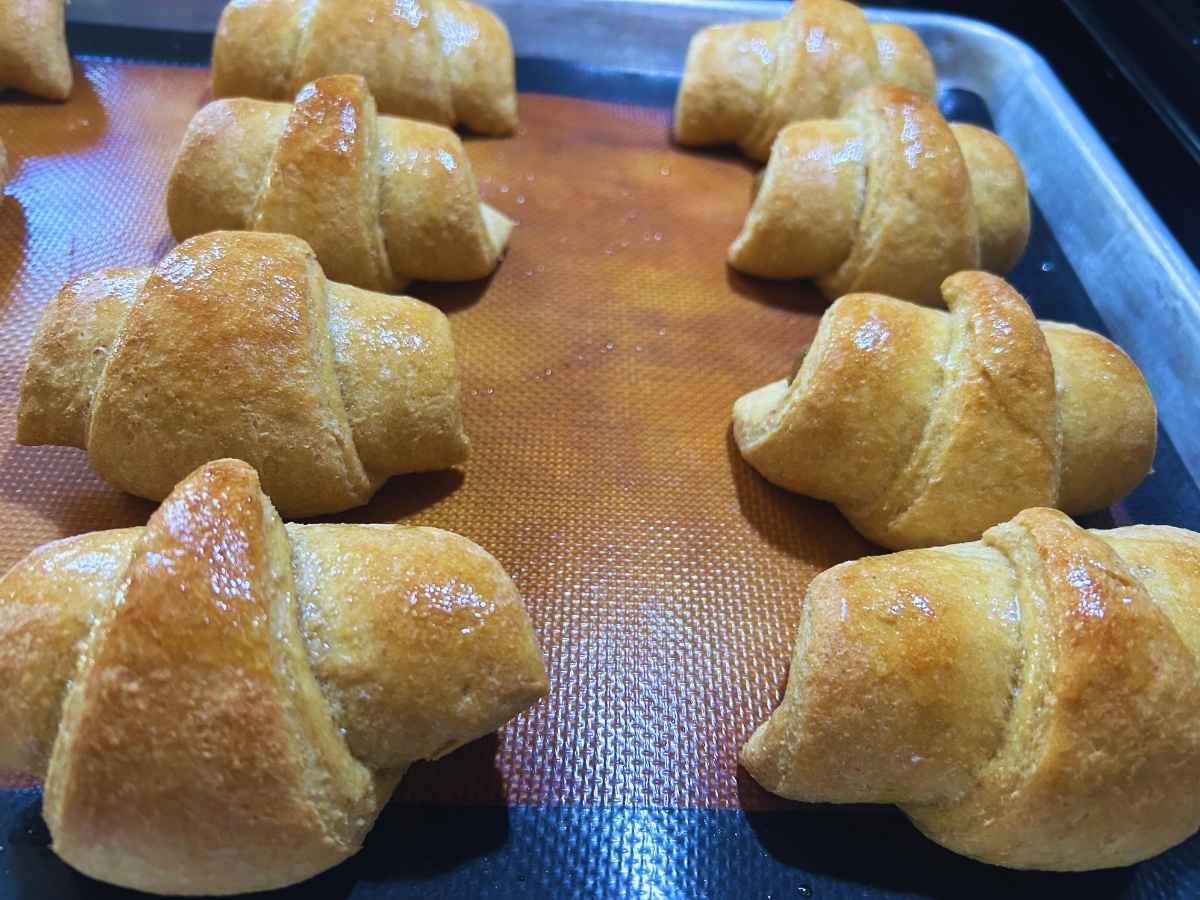 Whole Wheat Crescent Rolls - A Hint of Homestead