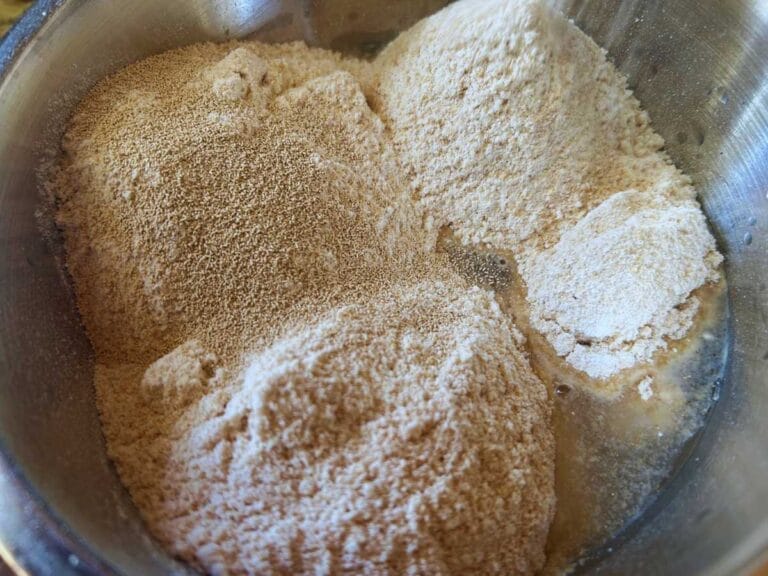 What Is Biga? Learn Why and How to Use with Fresh Milled Flour
