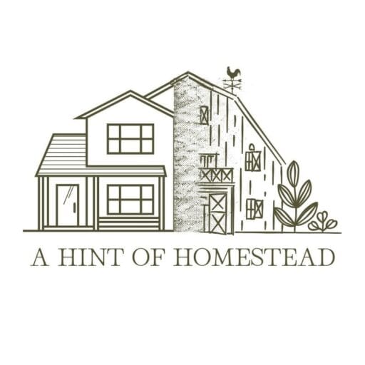 A Hint of Homestead - Learning How to Homestead in the Suburbs