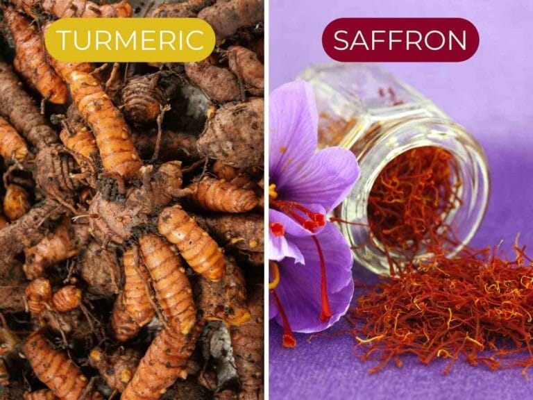 The Benefits of Growing Saffron in Your Garden - A Hint of Homestead