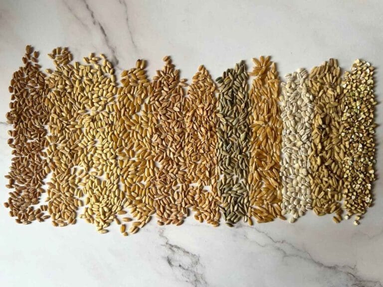 Guide to the Best Grains for Fresh Milling at Home - A Hint of Homestead
