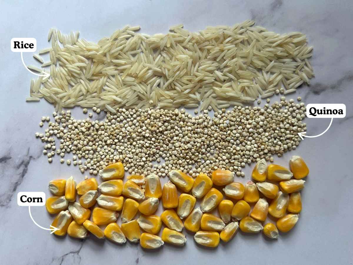 Guide to the Best Grains for Fresh Milling at Home - A Hint of Homestead