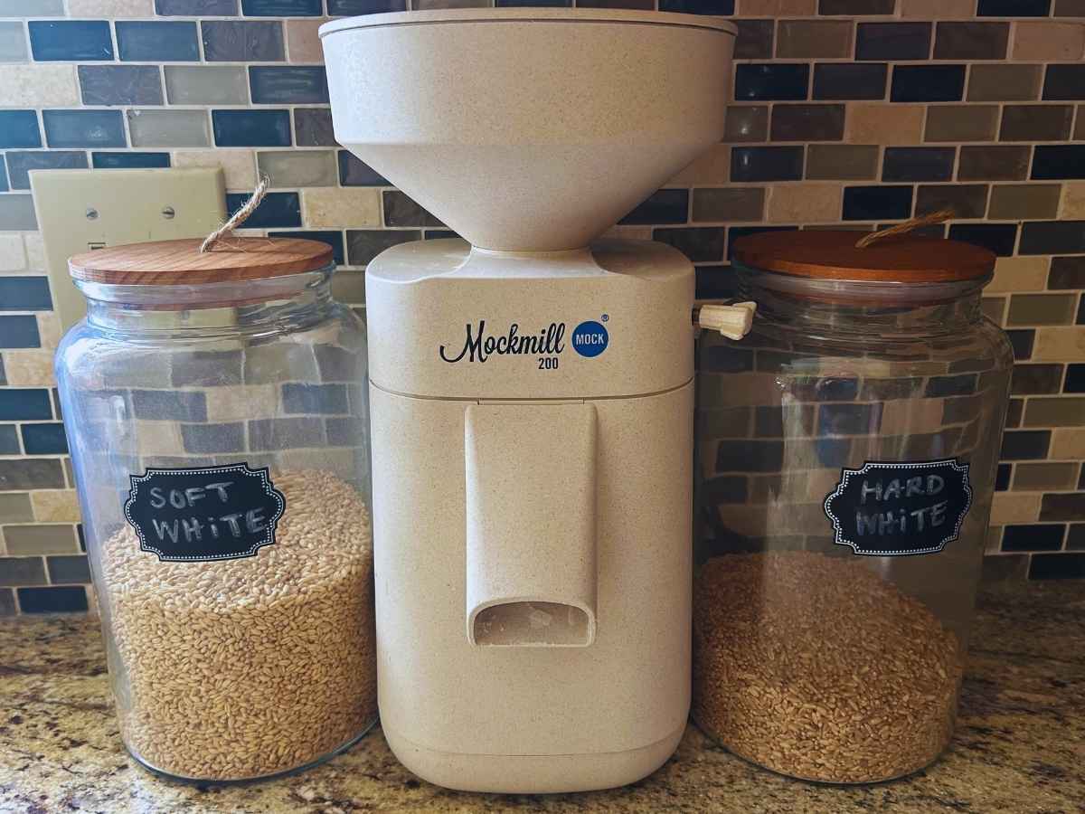 Guide to the Best Grains for Fresh Milling at Home - A Hint of Homestead