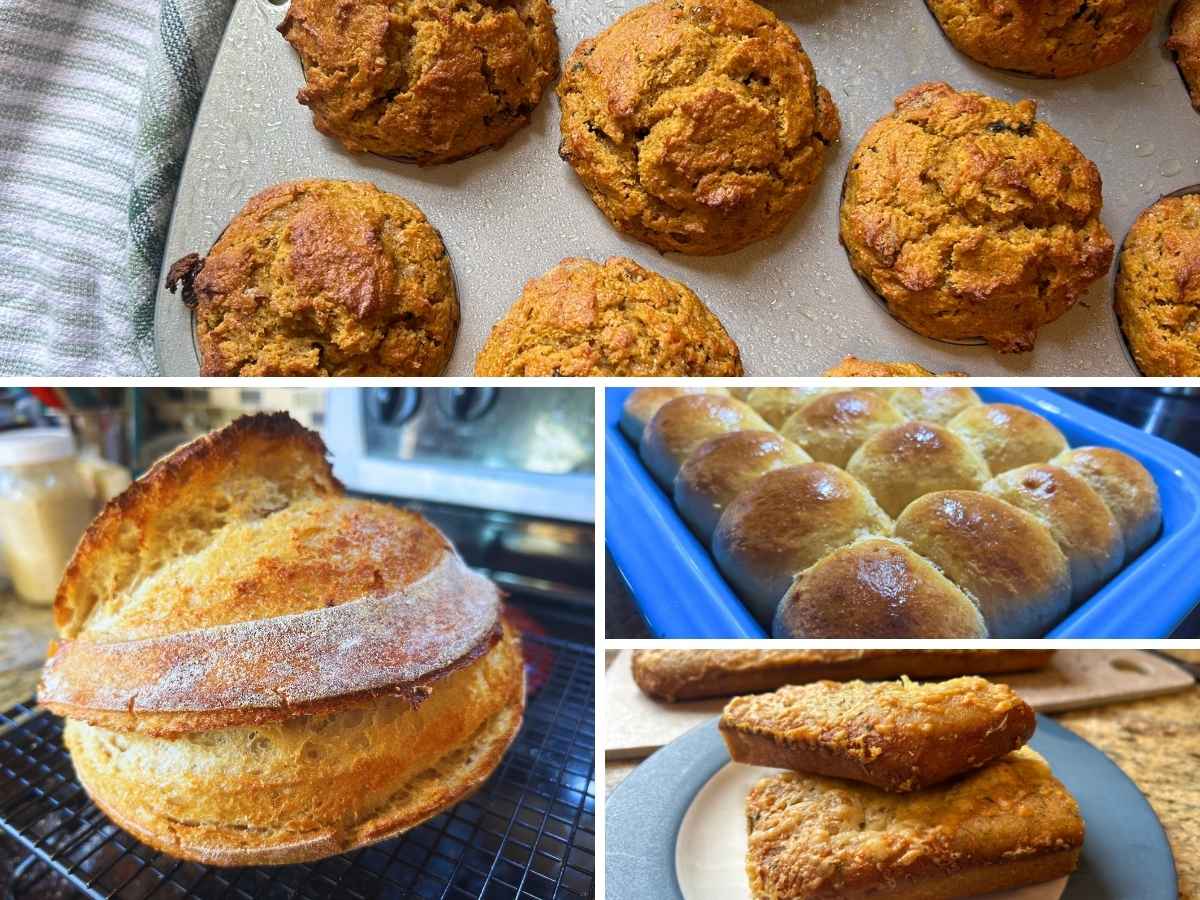 Fresh Milled Flour 101: Beginner's Guide to Milling Grains at Home