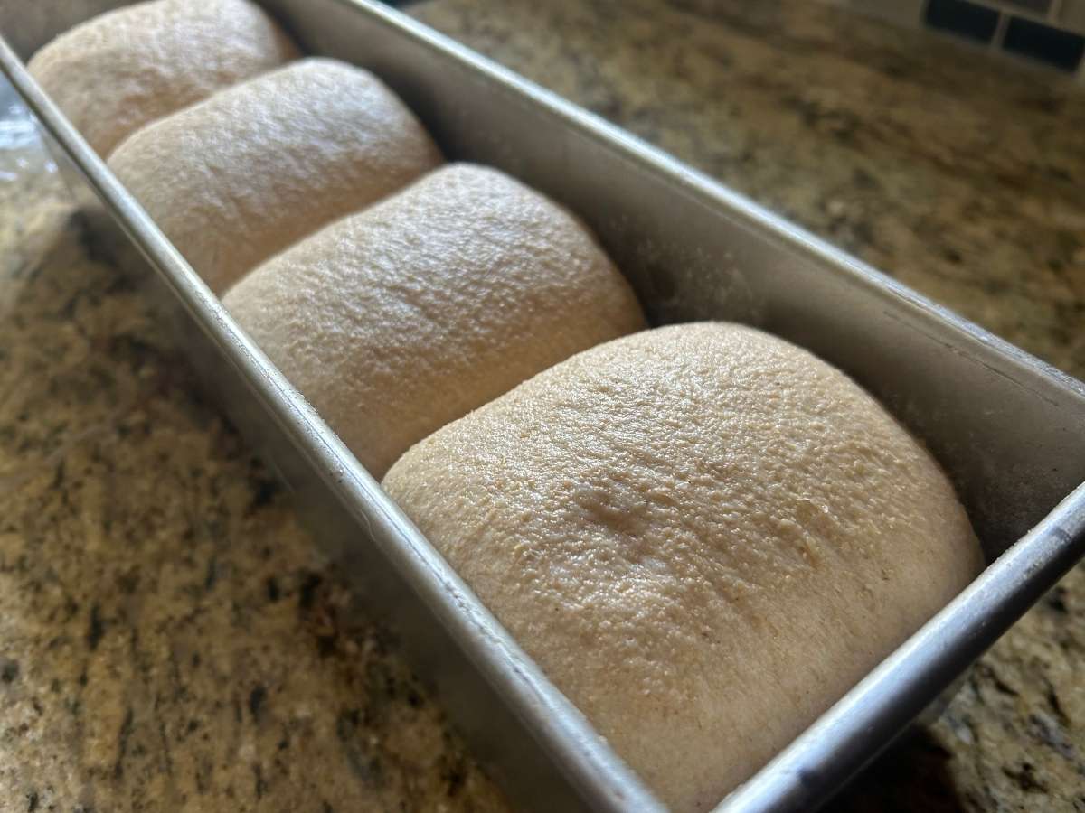 Super Soft Milk Bread Recipe with Fresh Milled Flour