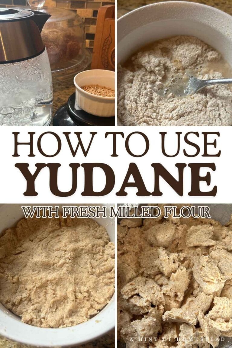 Yudane: The Simple Trick for Softer Fresh Milled Bread
