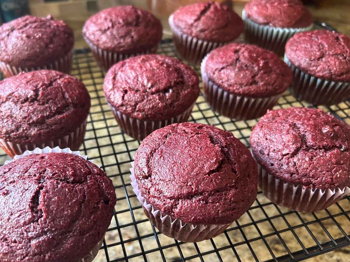 Chocolate Beet Muffins Made with Fresh Milled Flour