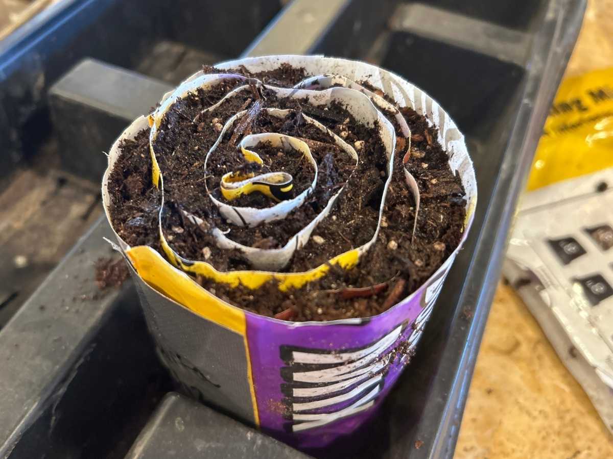 Seed Snails for Starting Seeds: The Easy, Space-Saving Method